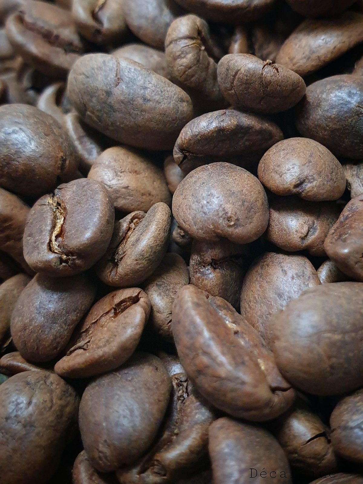DECAFEINE Sans Solvant (Colombie)